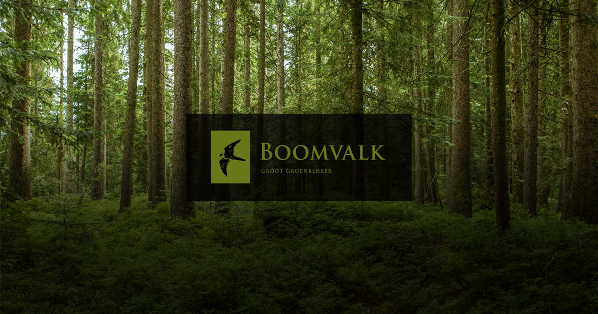 Boomvalk Groot Groenbeheer – Verlicht uw kijk op groen